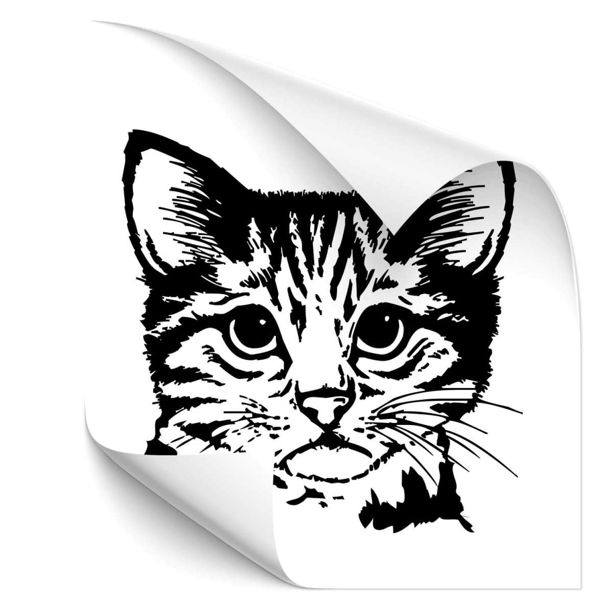 Autoaufkleber & Autotattoos › Katzen | klebe-x.shop