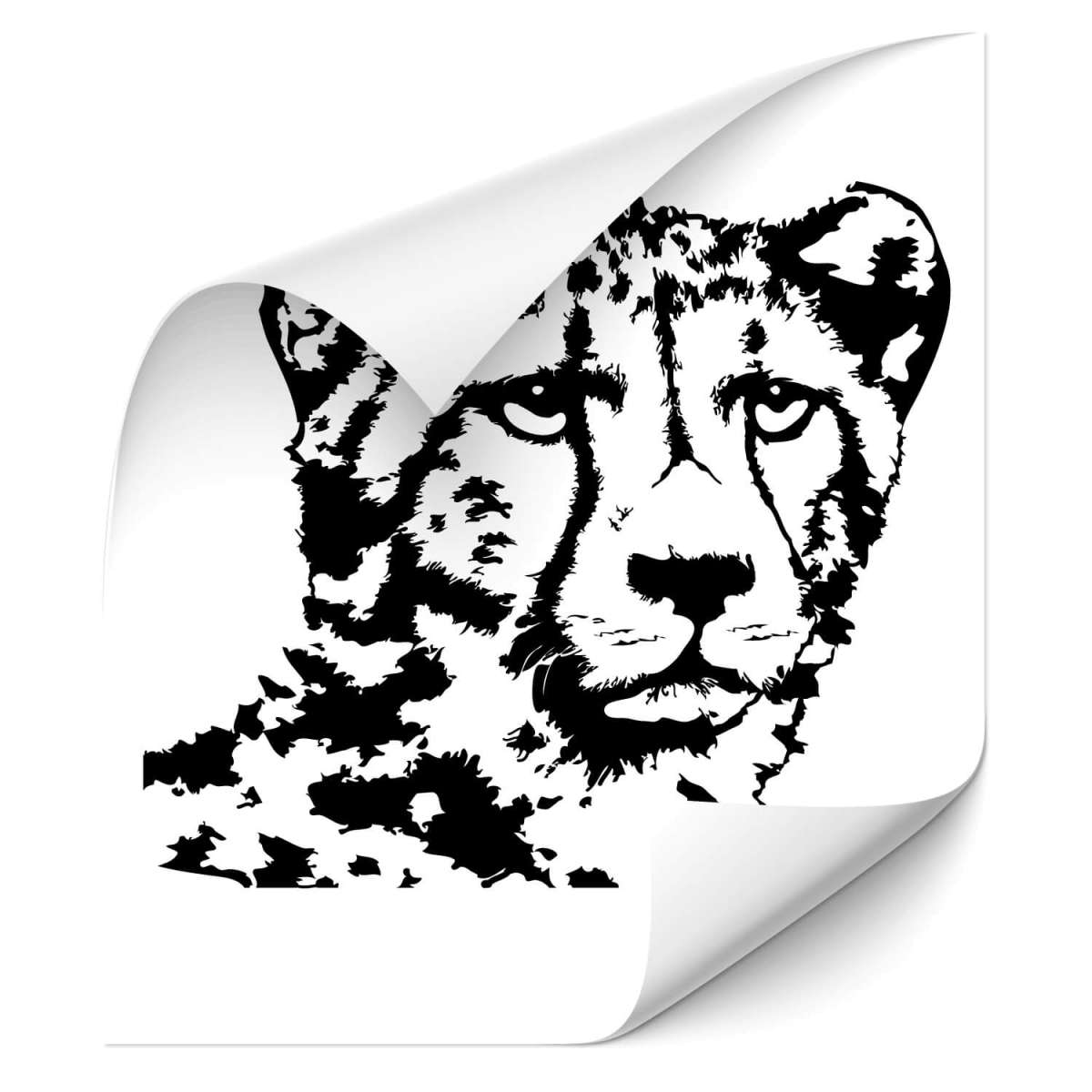 Autotattoo mit Gepard bei Klebe-X kaufen und erleben!